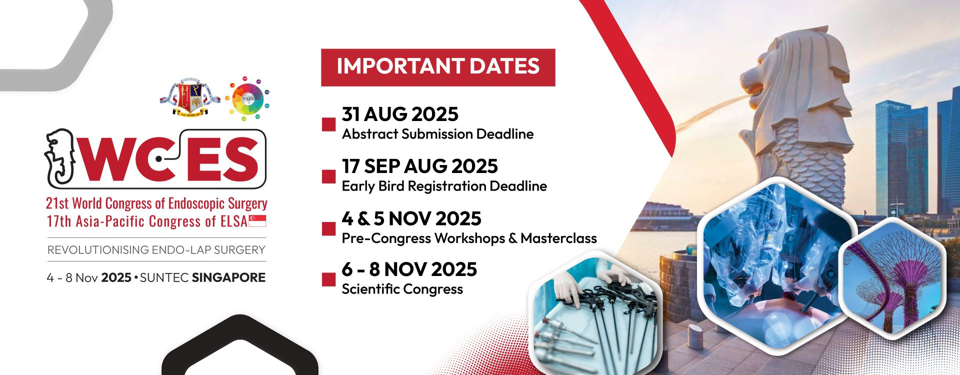 Promotional Toolkit - WCES 2025